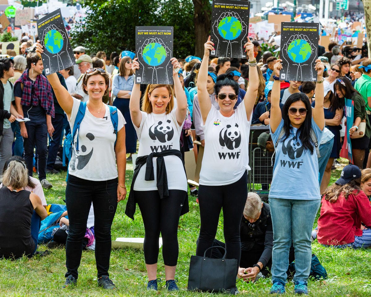 Iscrizioni a WWF per famiglie | WWF Sostieni Italia